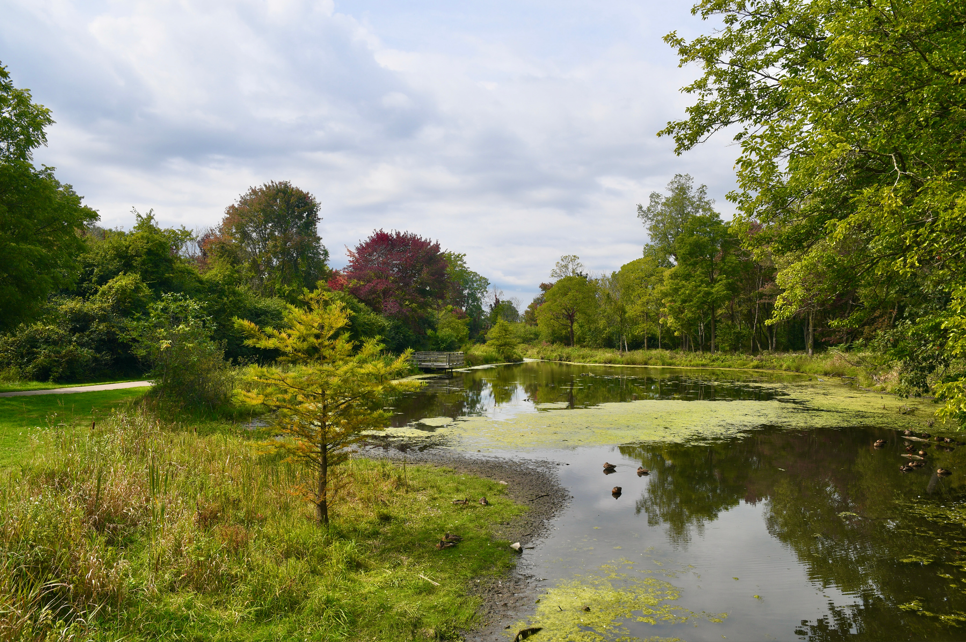 Michigan Trails | Northern Tier Trail